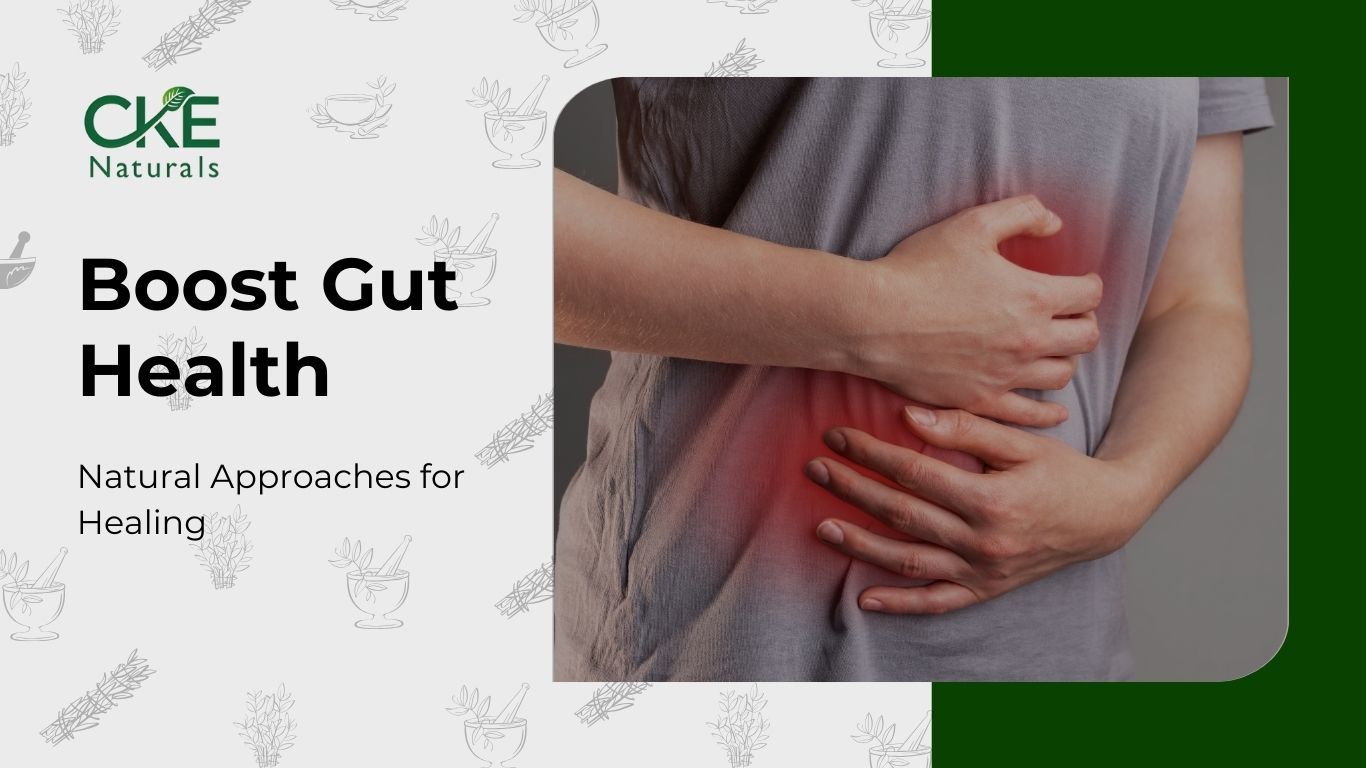 Effective Methods to Naturally Heal and Support Gut Health – CKE Naturals