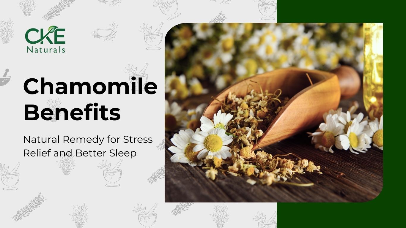 Benefits of Chamomile: Your Key to Stress Relief and Better Sleep – CKE ...