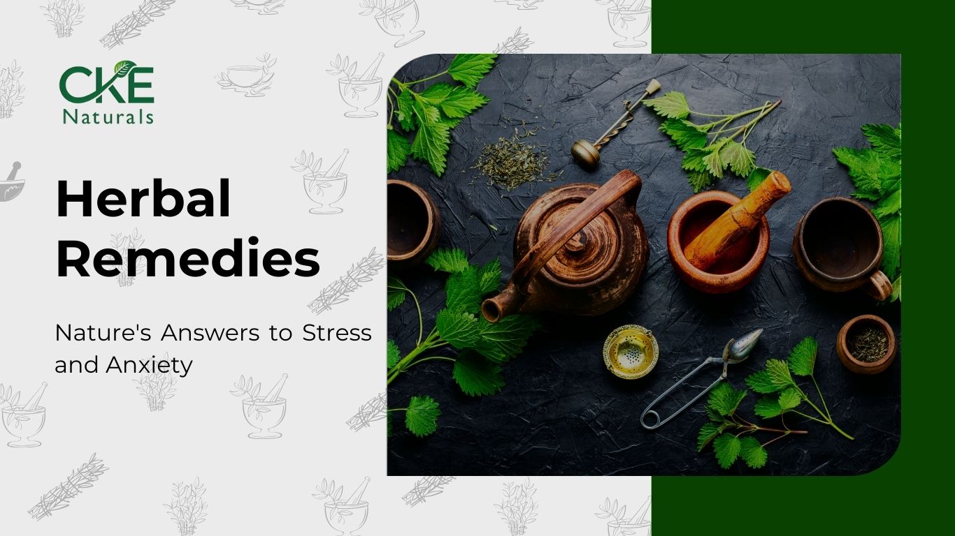 Herbal Remedies for Chronic Fatigue: Tiredness Cycle – CKE Naturals